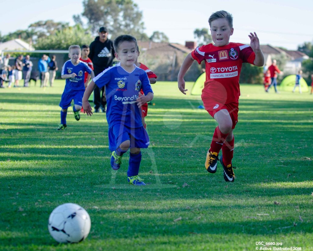 DSC_6680 – Welcome to Salisbury United Football Club